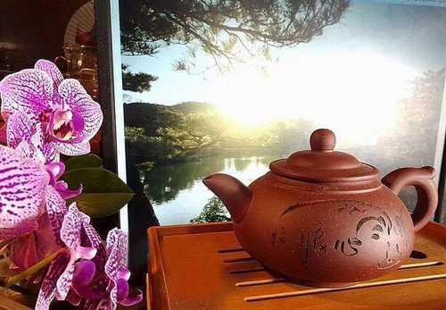 Китайский чайник "Поющий лес" исинская глина