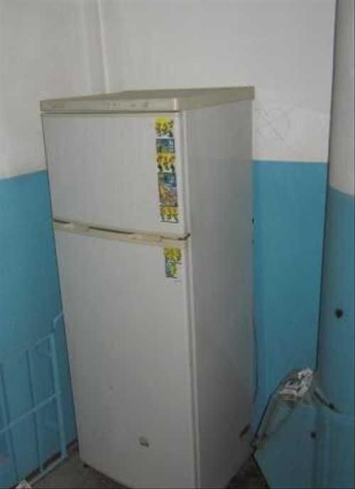 Холодильник частные объявления. Холодильник под старину пузатые. Холодильник Донбасс СССР. Фото старого холодильника в подъезде.