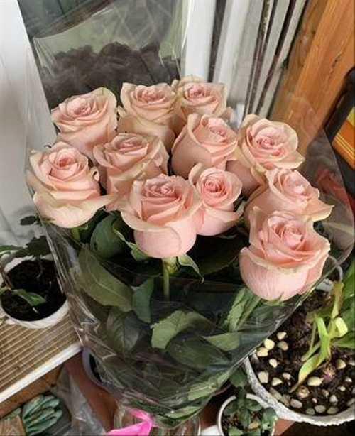 Розовые розы (Букет)
