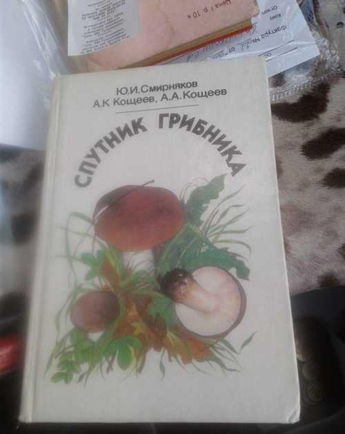 Спутник грибника