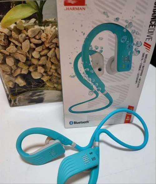 JBL Endurance Dive