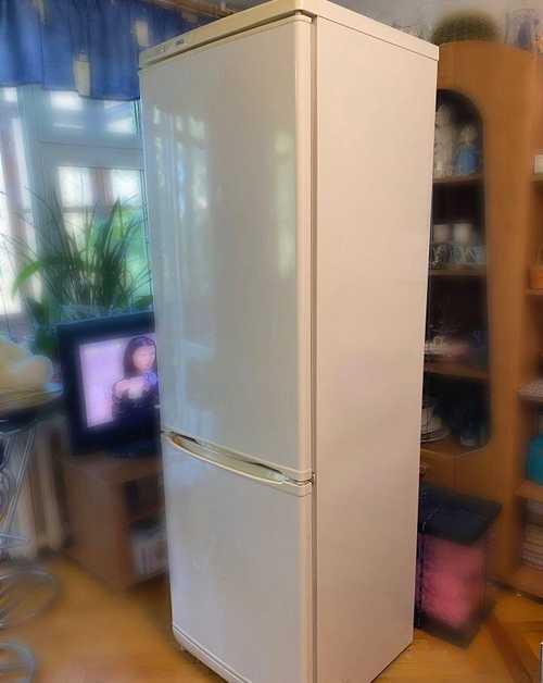 Холодильник Stinol-117
