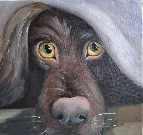 Картина маслом "Собака". миниатюра