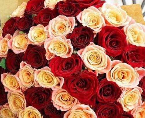 Розы Цветы Букеты 25 51 101 151 201 роза Доставка