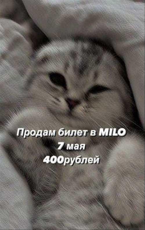 Продам билет на дискотеку в milo 7 мая