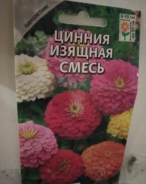 Цинния рассада цветов