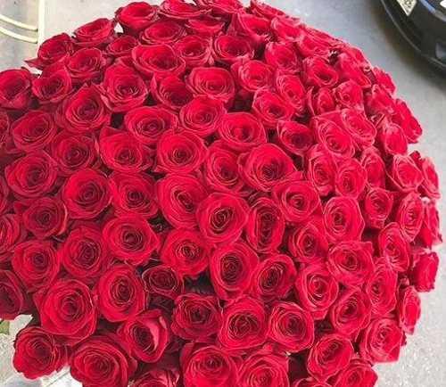 101 красная роза 80 см с доставкой на 8 марта