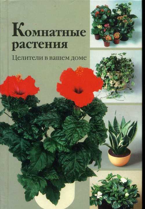 Комнатные растения. Целители в вашем доме