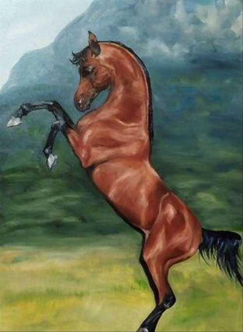 Картина маслом лошадь Грация 60*40 Холст рама