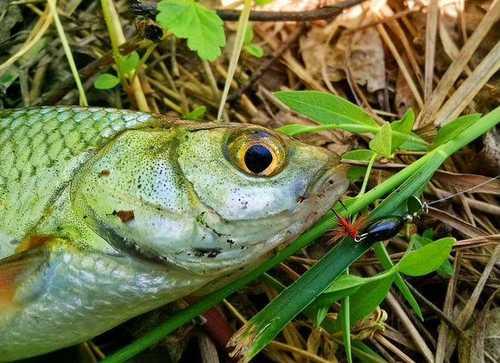 Блесна-турбинка для ультралайта "Оливка"