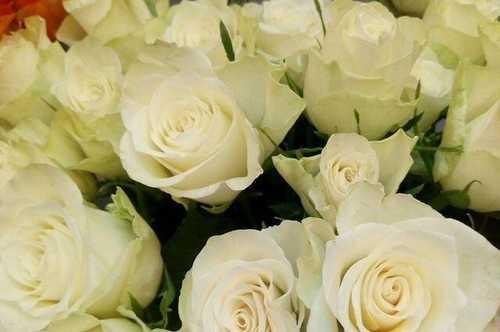 Букет 25 белых роз