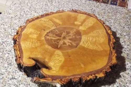 Спил березы шлифованный, покрыт лаком