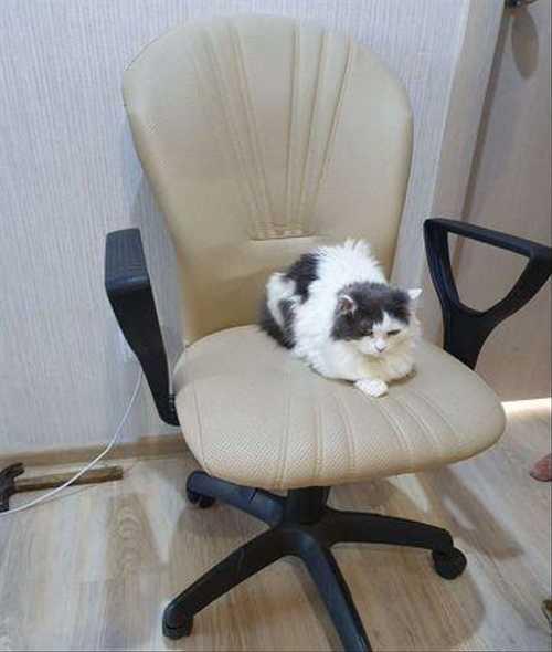 Компьютерный стул бу