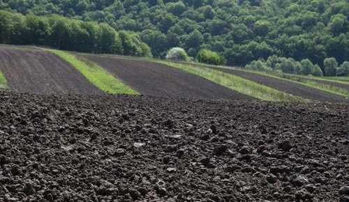Земля плодородная чернозем подарю