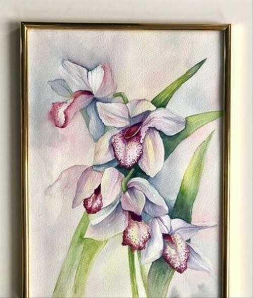 Картина акварель «Орхидеи»