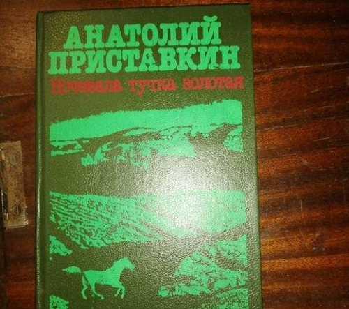 А. Приставкин. Ночевала тучка золотая