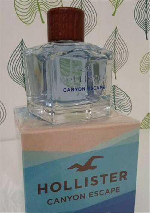 Hollister Canyon Escape Man 100 ml