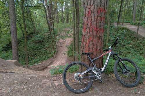 GT Sensor Carbon Expert