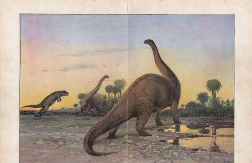 Литография. Динозавры. Ископаемые. Кости 19 век