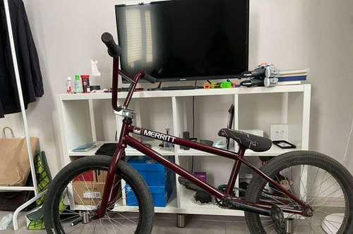 BMX WTP Envy 2019