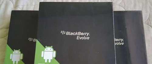 Blackberry Evolve