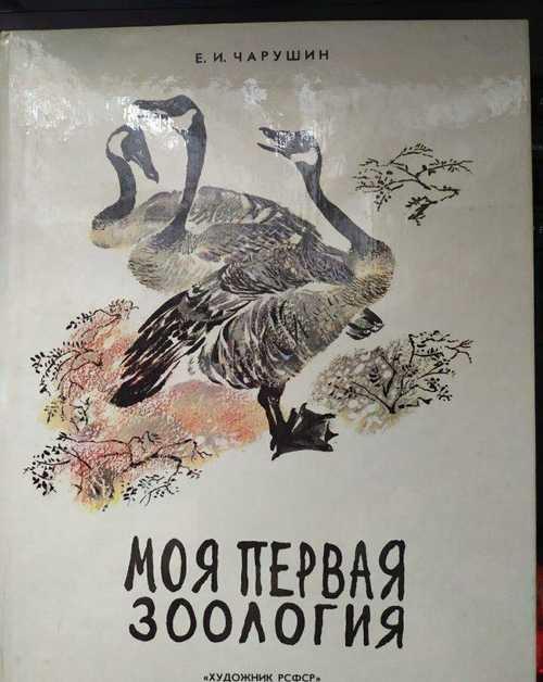 Моя первая зоология книга о птицах. Книга моя первая Зоология. Книга моя первая Зоология Чарушин. Чарушин моя первая Зоология читать. Советская книга моя первая Зоология.
