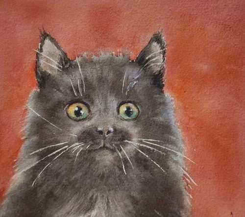Картина пушистый черный кот в раме. Кузьма