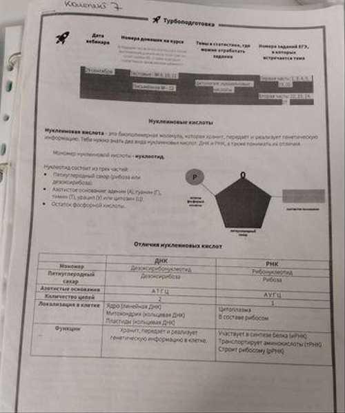 Материал для подготовки к егэ по биологии, полная