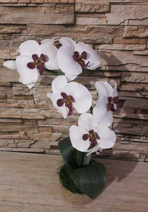 Купить орхидею в ставрополе. Ночник Орхидея из фоамирана. Орхидея купить в Ставрополе.