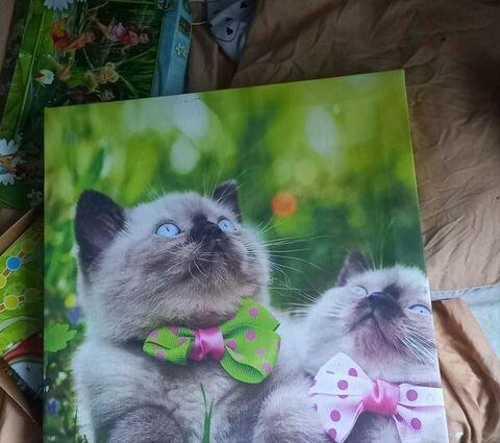 Картина с котами