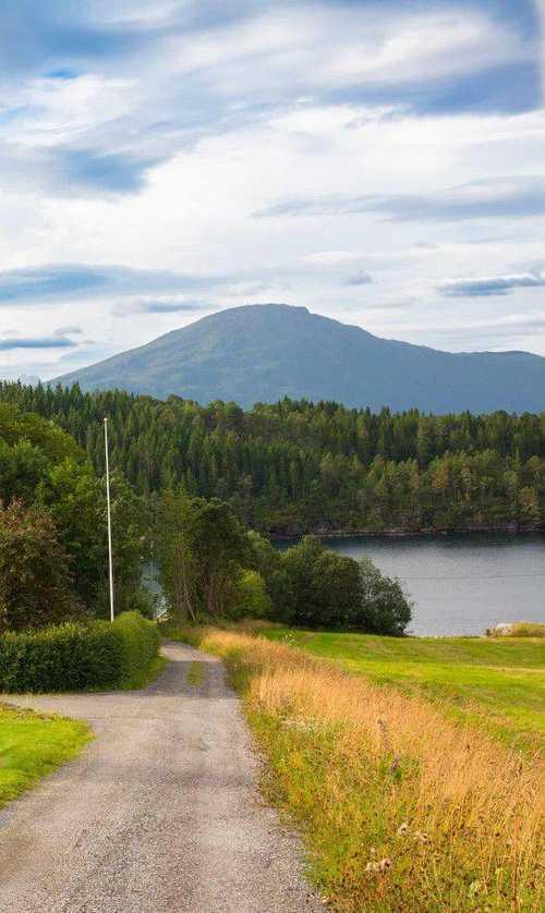 Аквариум 2 шт цветы и большая пальма. цена договор