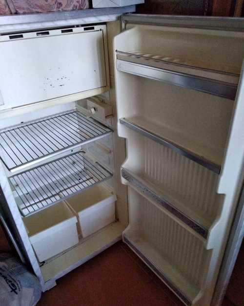 Холодильник свияга ссср фото