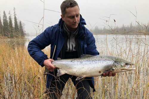 Консультации по спиннинговым снастям и приманкам