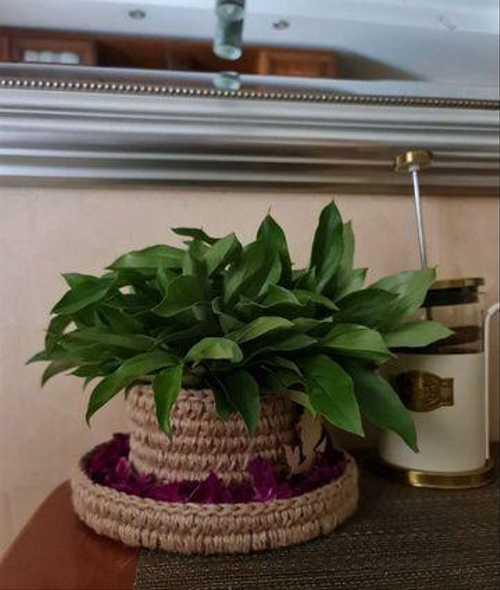 Корзинка вязаная из джута hand made