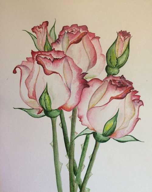 Картина акварель роза