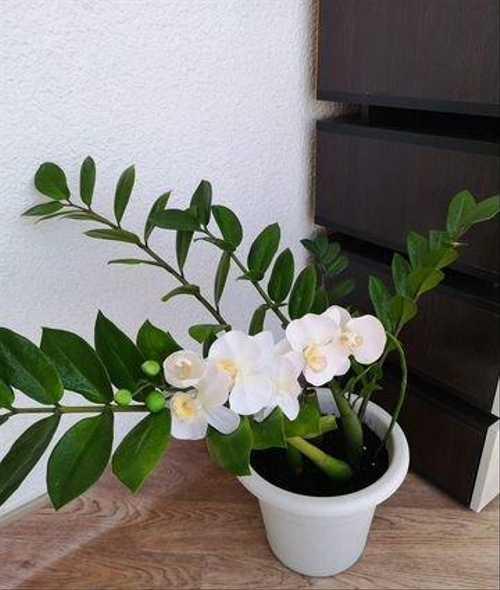 Орхидея Фаленопсис (ветвь) белая искусственная