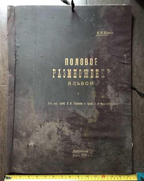 Альбом с постерами «Половое размножение» 1930 год