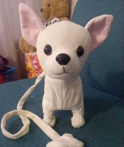 Интерактивная игрушка собачка Чихуахуа Сhi Сhi lov