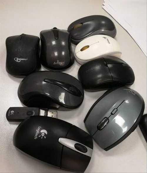 Компьютерные мышки кучей