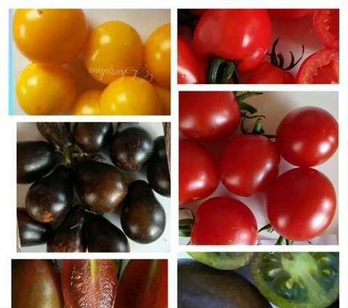 Засолочные томаты семена