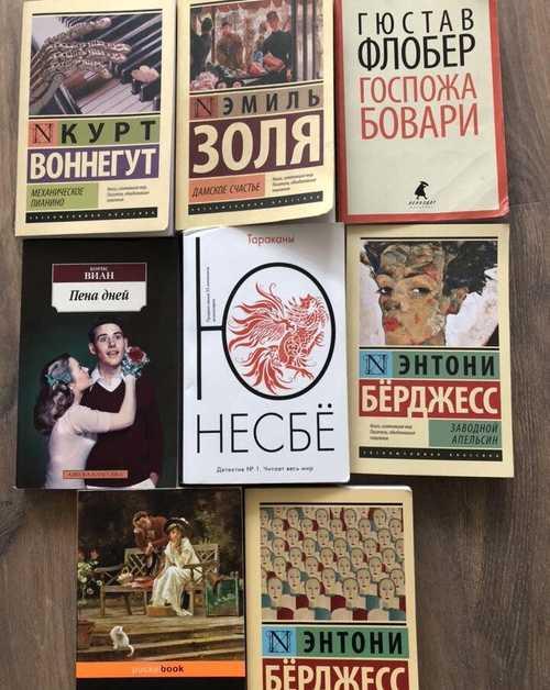 Книги (Несбё, Воннегут, Золя, Флобер, Виан, Бёрдже