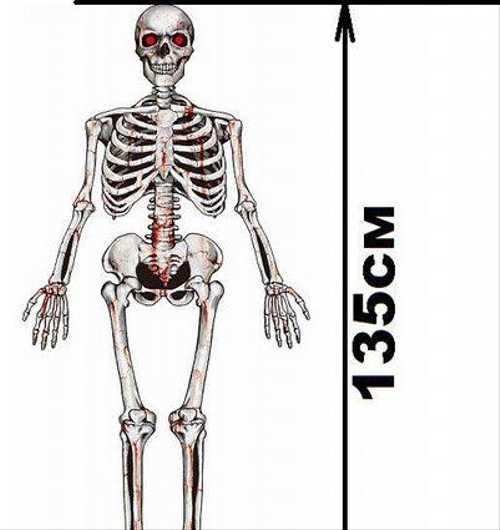 Гирлянда декорация скелет на хэллоуин