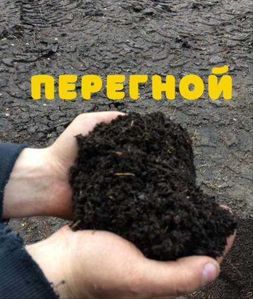 Перегной