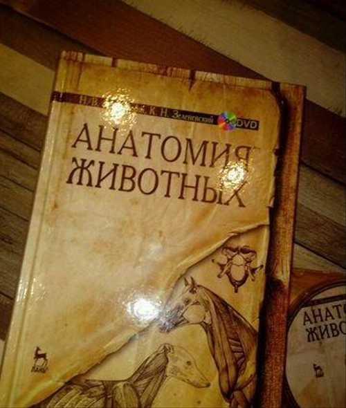 Зеленевский анатомия и физиология животных. Анатомия животных Зеленевский Щипакин.