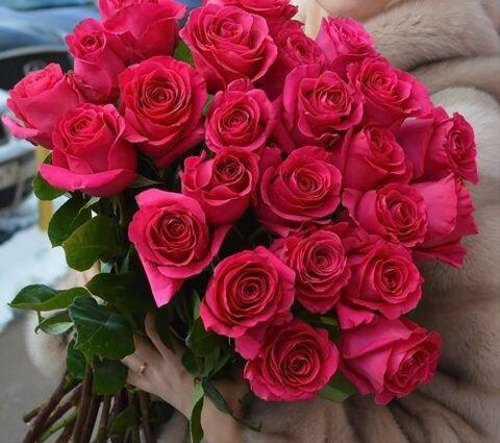 Букет 15 роз Малинового цвета с Доставкой