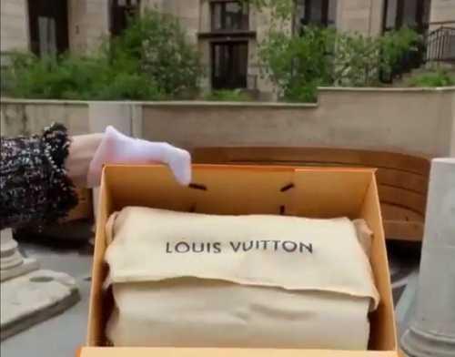 Louis Vuitton чехол Пыльник