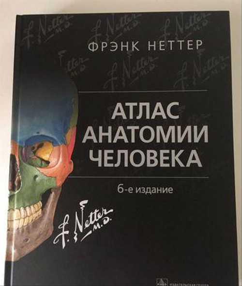 Атлас неттера по анатомии