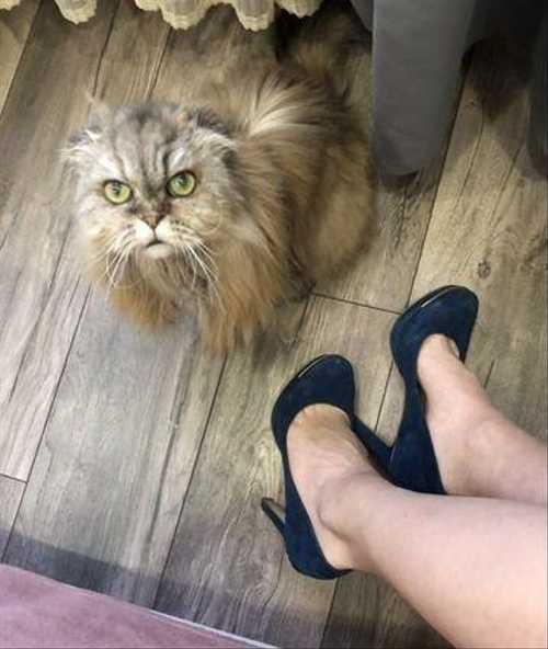 Туфли женские 37 размер