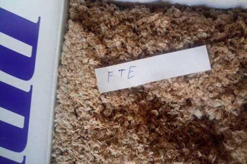 Набор семян: павловния фте, FTE и войлочная