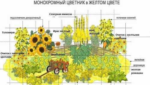 Клумба № 104,в желтых тонах